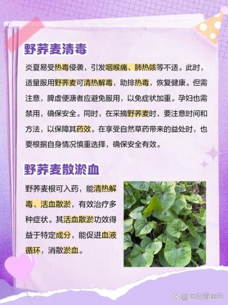 荞麦的功效与作用_荞麦的饮食禁忌有哪些-第1张图片-山城妙识