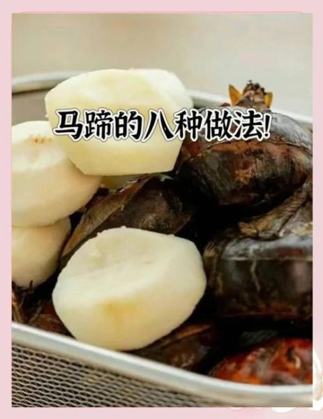 马蹄怎么凉拌好吃_马蹄凉拌的做法大全-第2张图片-山城妙识 马蹄怎么凉拌好吃_马蹄凉拌的做法大全-第2张图片-山城妙识