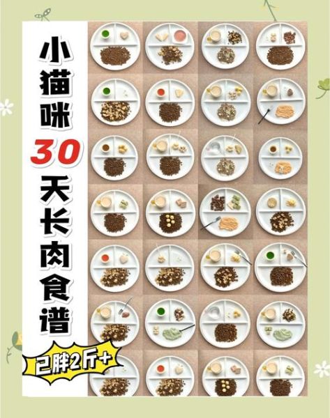 如何健康增肥_增肥食谱一周安排-第2张图片-山城妙识 如何健康增肥_增肥食谱一周安排-第2张图片-山城妙识