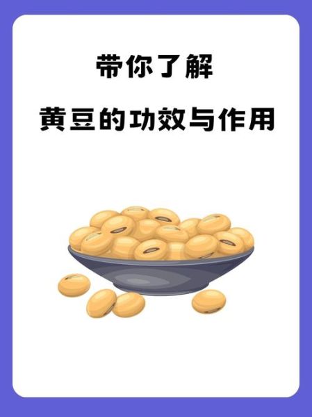黄豆的功效与作用_黄豆怎么吃最养脾胃-第3张图片-山城妙识 黄豆的功效与作用_黄豆怎么吃最养脾胃-第3张图片-山城妙识