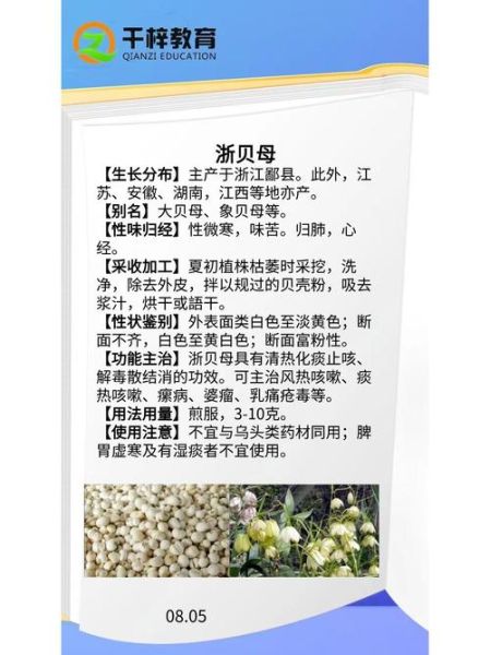 贝母的作用和功效_川贝母与浙贝母区别-第2张图片-山城妙识 贝母的作用和功效_川贝母与浙贝母区别-第2张图片-山城妙识