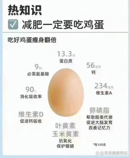 鸡蛋热量是多少大卡_减肥能吃鸡蛋吗-第3张图片-山城妙识 鸡蛋热量是多少大卡_减肥能吃鸡蛋吗-第3张图片-山城妙识