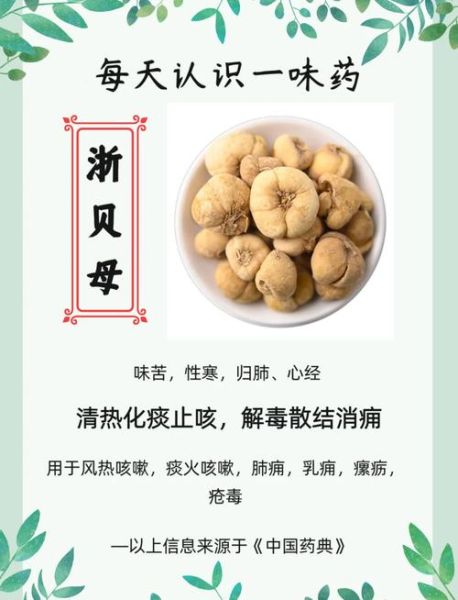 贝母的作用和功效_川贝母与浙贝母区别-第1张图片-山城妙识 贝母的作用和功效_川贝母与浙贝母区别-第1张图片-山城妙识