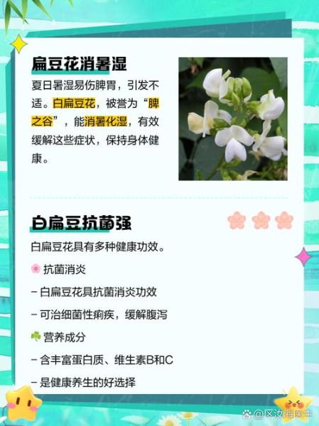 白扁豆花有副作用吗_白扁豆花泡水喝的禁忌-第1张图片-山城妙识 白扁豆花有副作用吗_白扁豆花泡水喝的禁忌-第1张图片-山城妙识