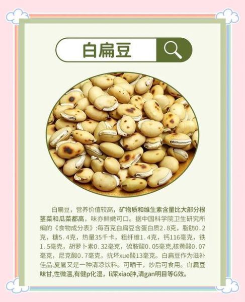 白扁豆花有副作用吗_白扁豆花泡水喝的禁忌-第2张图片-山城妙识 白扁豆花有副作用吗_白扁豆花泡水喝的禁忌-第2张图片-山城妙识