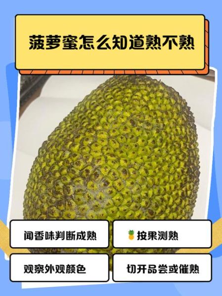 菠萝蜜不正经视频是什么_如何快速识别真假-第1张图片-山城妙识