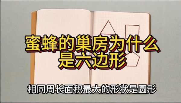 蜂巢的结构是什么_蜂巢为什么是六边形-第1张图片-山城妙识 蜂巢的结构是什么_蜂巢为什么是六边形-第1张图片-山城妙识