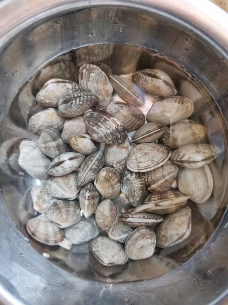 香辣花甲怎么做_花甲去沙最快方法-第3张图片-山城妙识 香辣花甲怎么做_花甲去沙最快方法-第3张图片-山城妙识