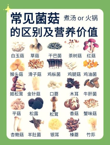 食用菌品种有哪些_如何挑选新鲜食用菌-第1张图片-山城妙识 食用菌品种有哪些_如何挑选新鲜食用菌-第1张图片-山城妙识
