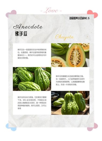 佛手瓜的功效与作用禁忌_佛手瓜怎么吃最好-第3张图片-山城妙识 佛手瓜的功效与作用禁忌_佛手瓜怎么吃最好-第3张图片-山城妙识