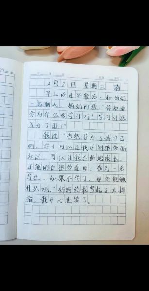 小学生日记怎么写_日记300字写作技巧-第3张图片-山城妙识 小学生日记怎么写_日记300字写作技巧-第3张图片-山城妙识