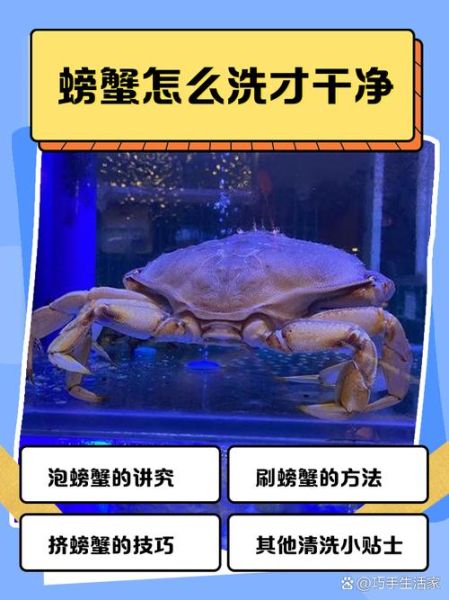 螃蟹怎么洗干净_活蟹清洗步骤-第2张图片-山城妙识 螃蟹怎么洗干净_活蟹清洗步骤-第2张图片-山城妙识