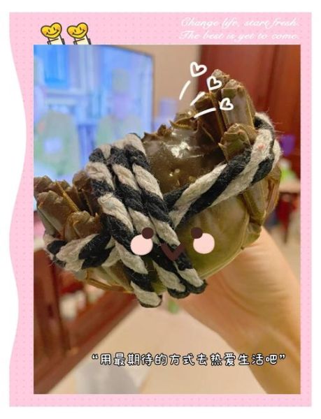 螃蟹怎么洗干净_活蟹清洗步骤-第3张图片-山城妙识 螃蟹怎么洗干净_活蟹清洗步骤-第3张图片-山城妙识
