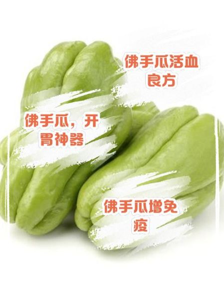 佛手瓜不能和什么一起吃_佛手瓜哪些人不能吃-第2张图片-山城妙识