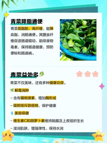 青菜的营养价值有哪些_吃青菜能补什么-第1张图片-山城妙识 青菜的营养价值有哪些_吃青菜能补什么-第1张图片-山城妙识