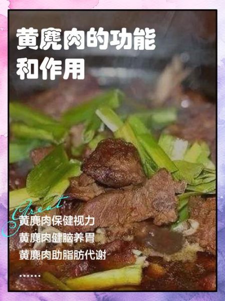 麂子肉怎么做好吃_麂子肉做法大全-第1张图片-山城妙识 麂子肉怎么做好吃_麂子肉做法大全-第1张图片-山城妙识