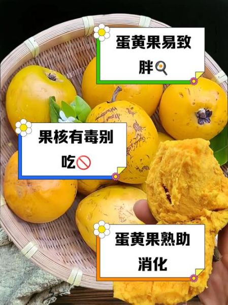 蛋黄果什么人不能吃_蛋黄果禁忌人群-第3张图片-山城妙识 蛋黄果什么人不能吃_蛋黄果禁忌人群-第3张图片-山城妙识