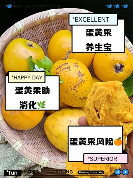 蛋黄果什么人不能吃_蛋黄果禁忌人群-第2张图片-山城妙识 蛋黄果什么人不能吃_蛋黄果禁忌人群-第2张图片-山城妙识