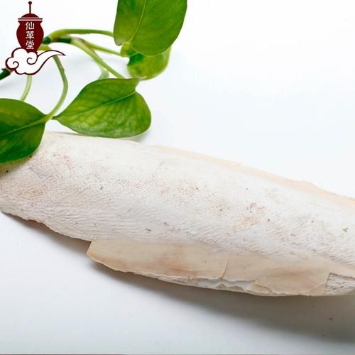乌贼骨别名有哪些_乌贼骨和海螵蛸一样吗-第1张图片-山城妙识 乌贼骨别名有哪些_乌贼骨和海螵蛸一样吗-第1张图片-山城妙识