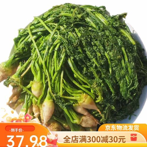 芥菜疙瘩图片功效与作用_怎么吃最健康-第2张图片-山城妙识 芥菜疙瘩图片功效与作用_怎么吃最健康-第2张图片-山城妙识