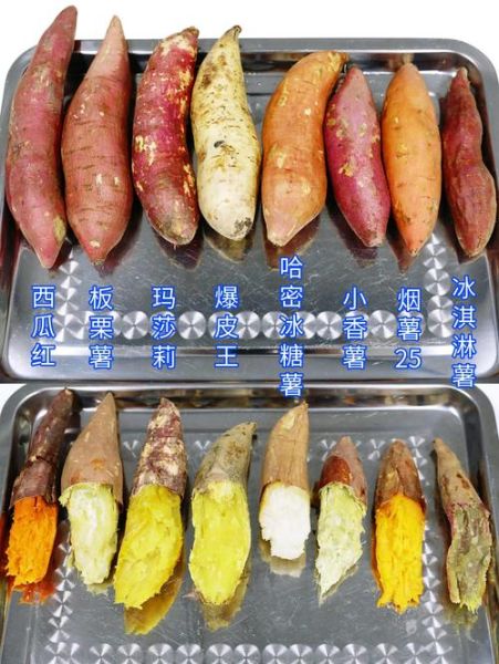 红薯图片大全大图高清_如何挑选高清红薯图片-第2张图片-山城妙识