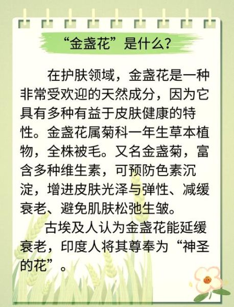 金盏花茶的功效与作用_金盏花茶怎么喝才有效-第1张图片-山城妙识 金盏花茶的功效与作用_金盏花茶怎么喝才有效-第1张图片-山城妙识
