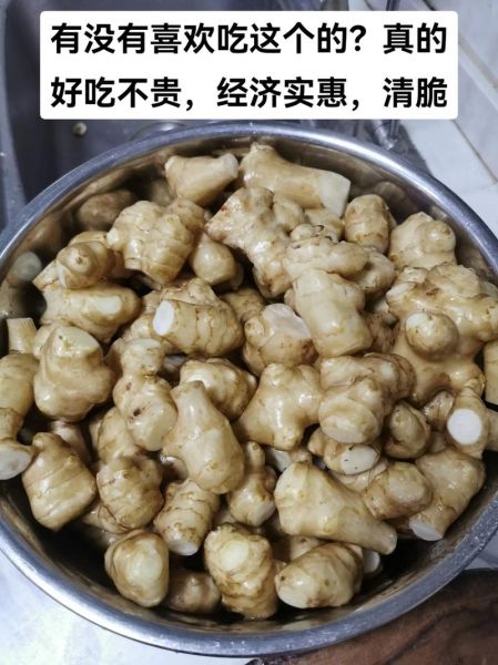 鬼子姜怎么腌制_鬼子姜腌制方法大全-第1张图片-山城妙识 鬼子姜怎么腌制_鬼子姜腌制方法大全-第1张图片-山城妙识