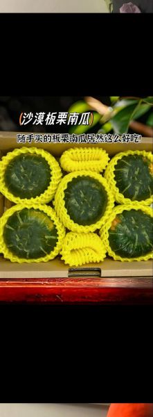 迷你小南瓜的做法_迷你小南瓜怎么蒸才软糯-第3张图片-山城妙识 迷你小南瓜的做法_迷你小南瓜怎么蒸才软糯-第3张图片-山城妙识