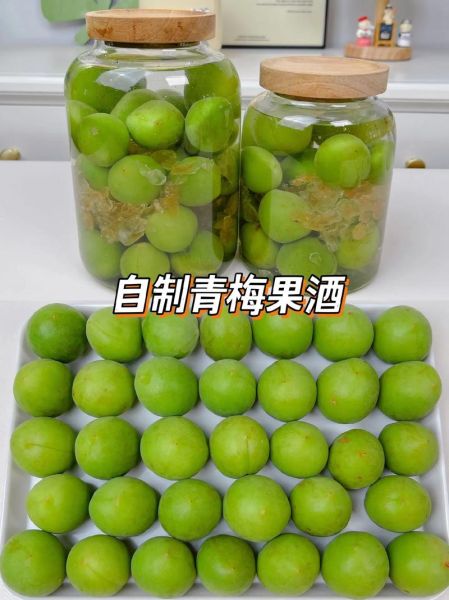 青梅酒泡多久可以喝_青梅酒泡制时间-第2张图片-山城妙识 青梅酒泡多久可以喝_青梅酒泡制时间-第2张图片-山城妙识