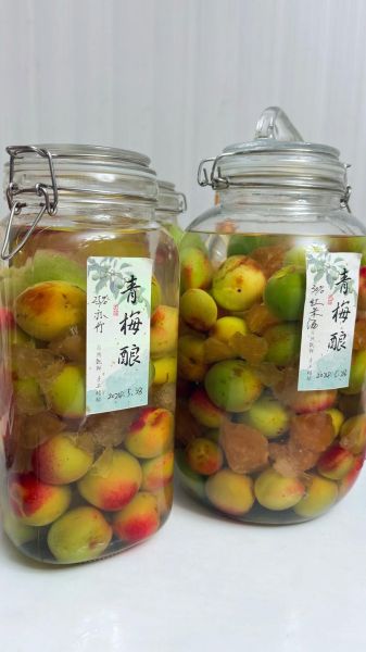 青梅酒泡多久可以喝_青梅酒泡制时间-第3张图片-山城妙识 青梅酒泡多久可以喝_青梅酒泡制时间-第3张图片-山城妙识