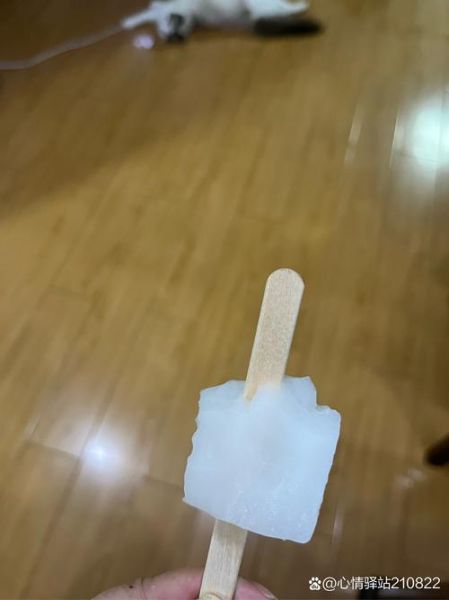 盐水棒冰热量_盐水棒冰减肥能吃吗-第1张图片-山城妙识 盐水棒冰热量_盐水棒冰减肥能吃吗-第1张图片-山城妙识