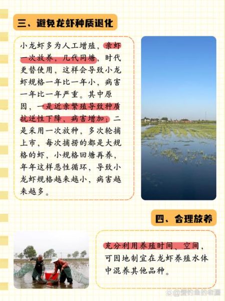 龙虾吃什么食物长得快_龙虾养殖饲料选择-第3张图片-山城妙识 龙虾吃什么食物长得快_龙虾养殖饲料选择-第3张图片-山城妙识