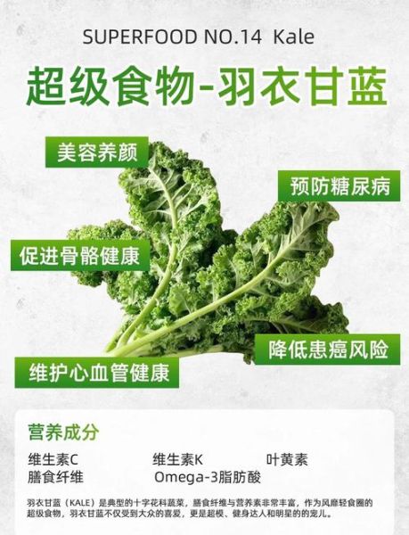 羽衣甘蓝的功效与作用禁忌_哪些人不能吃-第1张图片-山城妙识