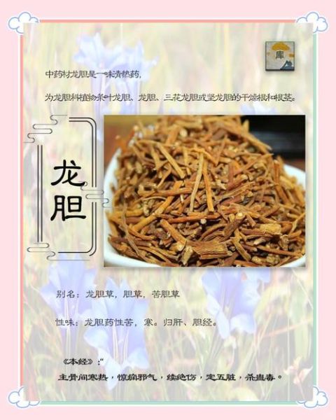 龙胆草的功效与作用_龙胆草怎么泡水喝-第3张图片-山城妙识 龙胆草的功效与作用_龙胆草怎么泡水喝-第3张图片-山城妙识