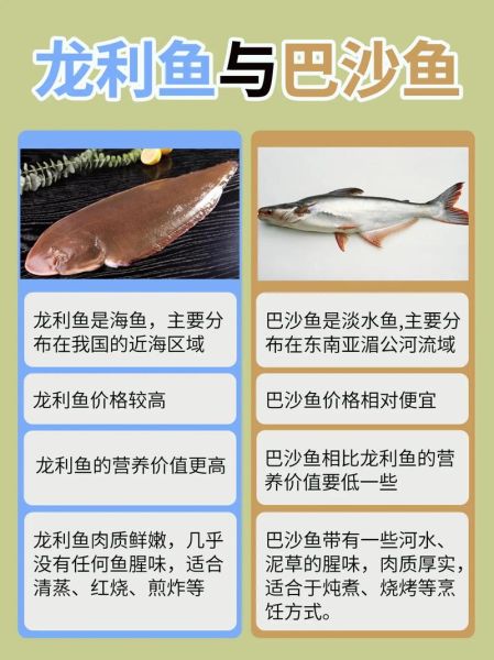 龙利鱼和巴沙鱼哪个好吃_区别与选购指南-第1张图片-山城妙识 龙利鱼和巴沙鱼哪个好吃_区别与选购指南-第1张图片-山城妙识