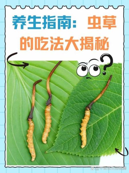 虫草的功效与作用是什么_虫草怎么吃效果最好-第3张图片-山城妙识