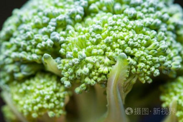 绿花椰菜长什么样_如何辨别新鲜绿花椰菜-第3张图片-山城妙识