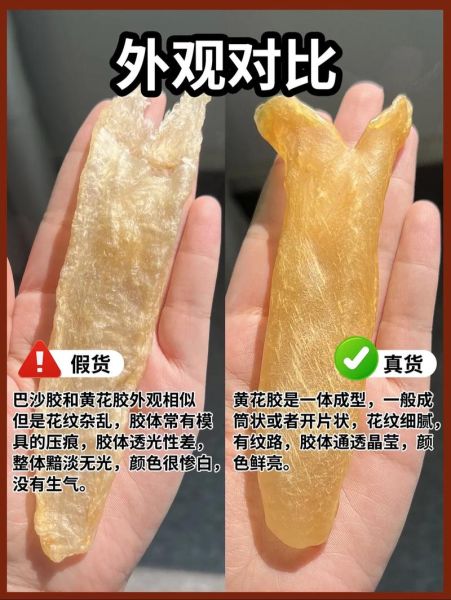 鱼胶和花胶有什么区别_哪个更滋补-第2张图片-山城妙识 鱼胶和花胶有什么区别_哪个更滋补-第2张图片-山城妙识