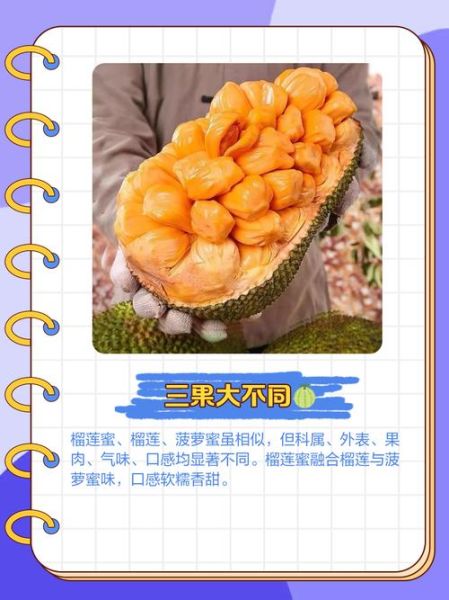 榴莲蜜和榴莲哪个好吃_口感区别大吗-第2张图片-山城妙识 榴莲蜜和榴莲哪个好吃_口感区别大吗-第2张图片-山城妙识