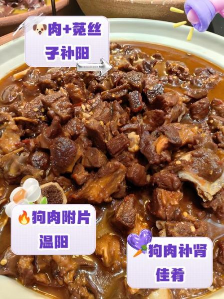 狗肉汤的功效与作用_狗肉汤适合什么人喝-第1张图片-山城妙识