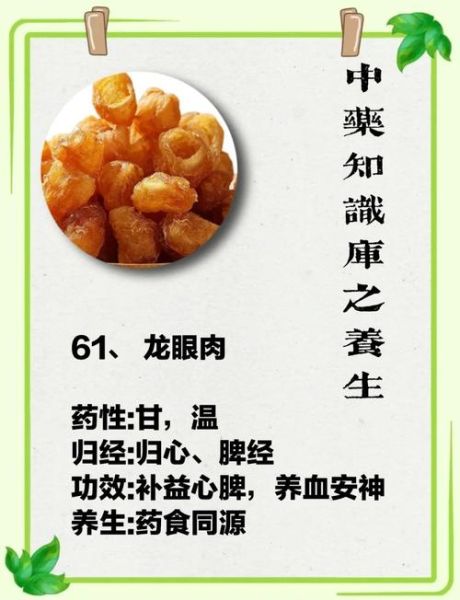 龙眼肉中药别名有哪些_龙眼肉与桂圆肉区别-第1张图片-山城妙识 龙眼肉中药别名有哪些_龙眼肉与桂圆肉区别-第1张图片-山城妙识