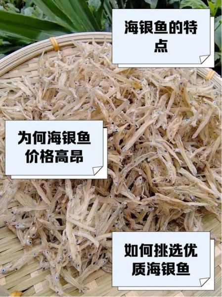银鱼是海鱼还是淡水鱼_银鱼生活习性全解析-第1张图片-山城妙识 银鱼是海鱼还是淡水鱼_银鱼生活习性全解析-第1张图片-山城妙识