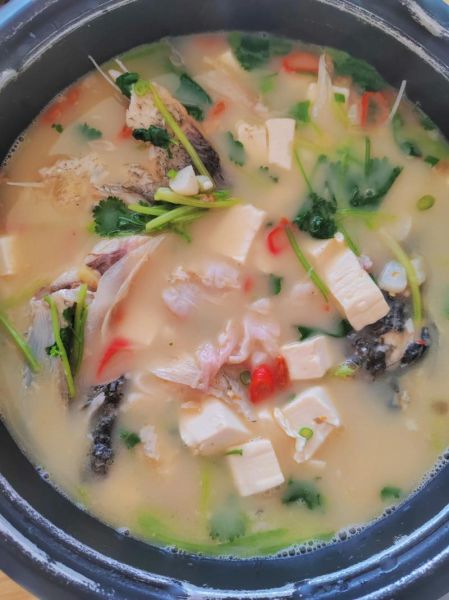鲤鱼炖豆腐粉条怎么做_鲤鱼炖豆腐粉条的家常做法-第1张图片-山城妙识 鲤鱼炖豆腐粉条怎么做_鲤鱼炖豆腐粉条的家常做法-第1张图片-山城妙识
