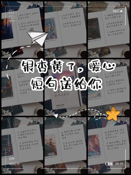 银杏心语是什么_银杏心语怎么用-第3张图片-山城妙识