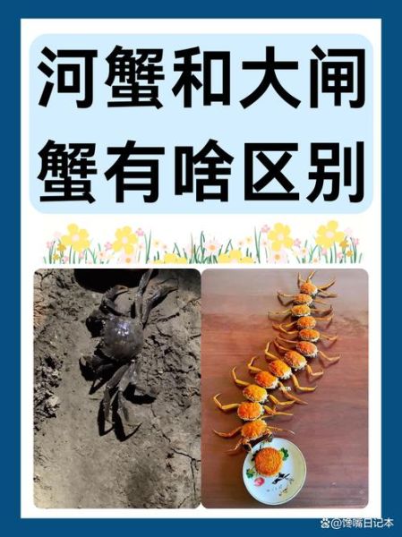 大闸蟹是河蟹还是海蟹_产地与习性解析-第1张图片-山城妙识 大闸蟹是河蟹还是海蟹_产地与习性解析-第1张图片-山城妙识