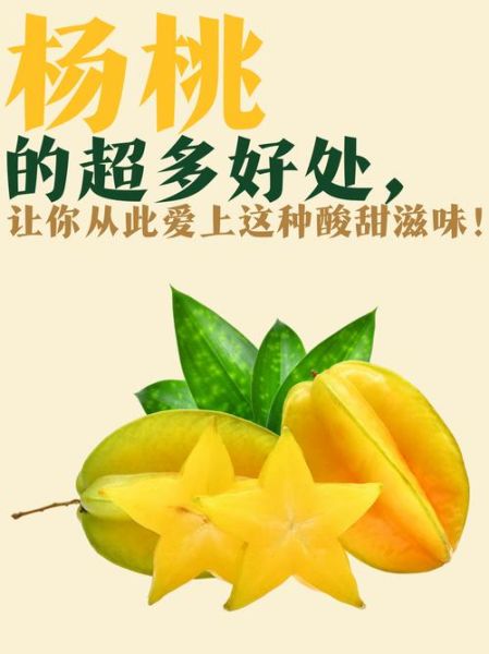 杨桃的功效与作用_杨桃怎么吃最健康-第3张图片-山城妙识