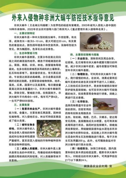 非洲大蜗牛怎么消灭_非洲大蜗牛用什么药最有效-第1张图片-山城妙识