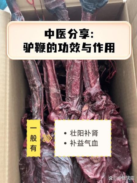 驴鞭怎么吃壮阳效果好_驴鞭壮阳的正确吃法-第1张图片-山城妙识 驴鞭怎么吃壮阳效果好_驴鞭壮阳的正确吃法-第1张图片-山城妙识