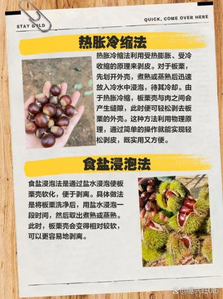 板栗怎么快速剥皮_生板栗去皮最简单的方法-第3张图片-山城妙识