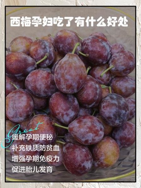 西梅孕妇可以吃吗_西梅的功效与作用孕妇-第1张图片-山城妙识 西梅孕妇可以吃吗_西梅的功效与作用孕妇-第1张图片-山城妙识